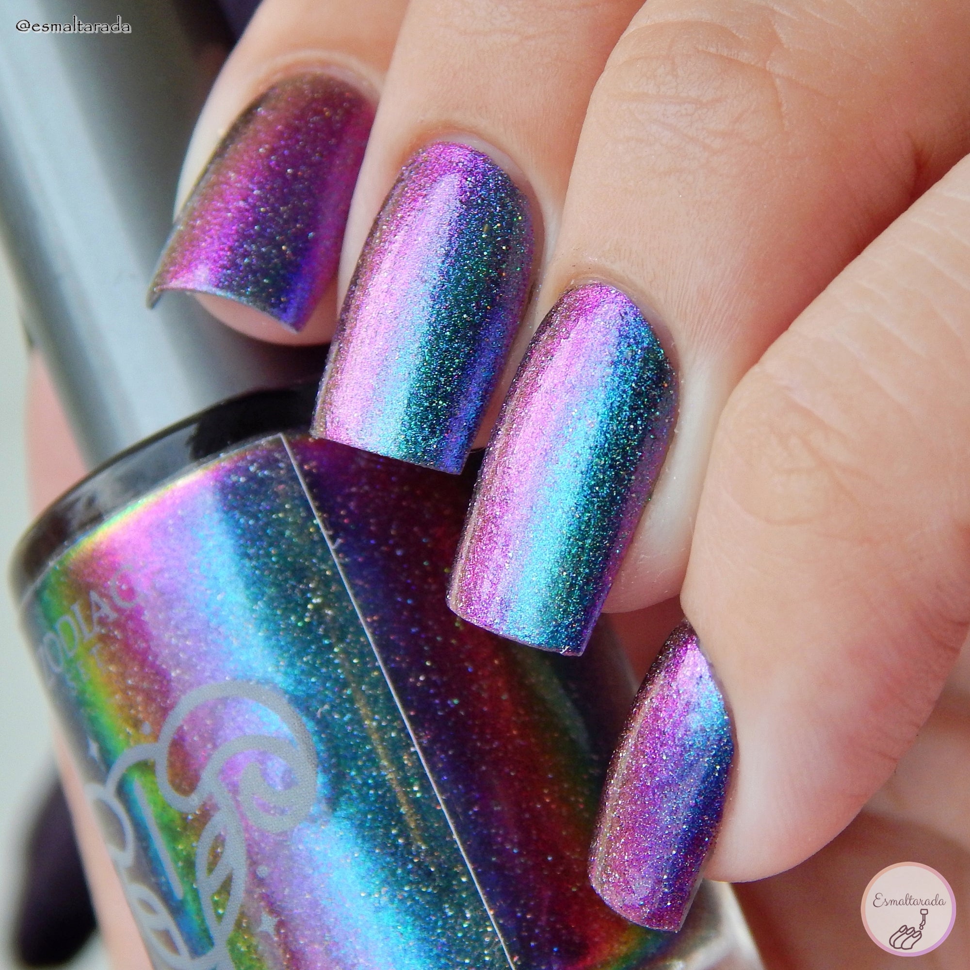 Zodiac Collab - Beautometry